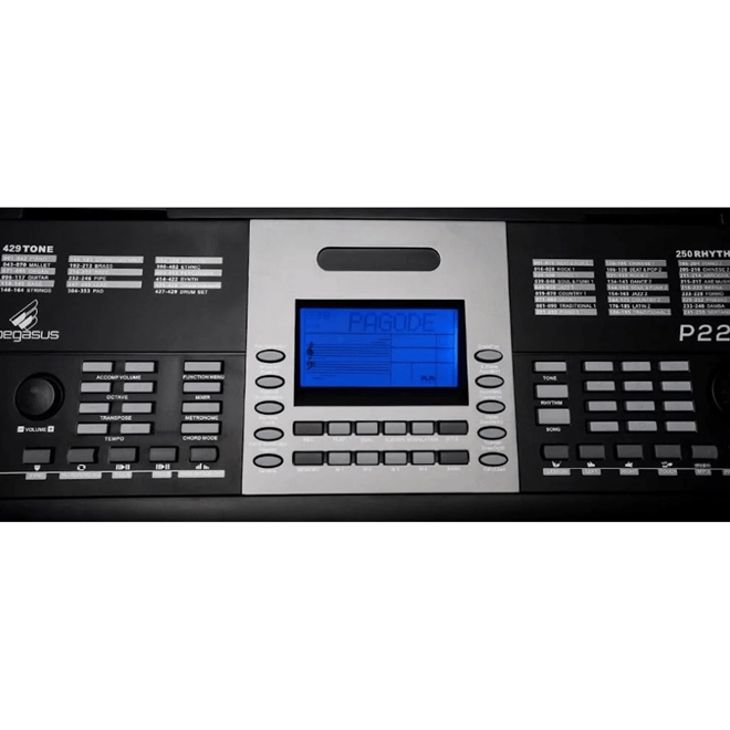 TECLADO PEGASUS P222 61 TECLAS COM RITMOS BRASILEIROS - TECLADO PEGASUS ...