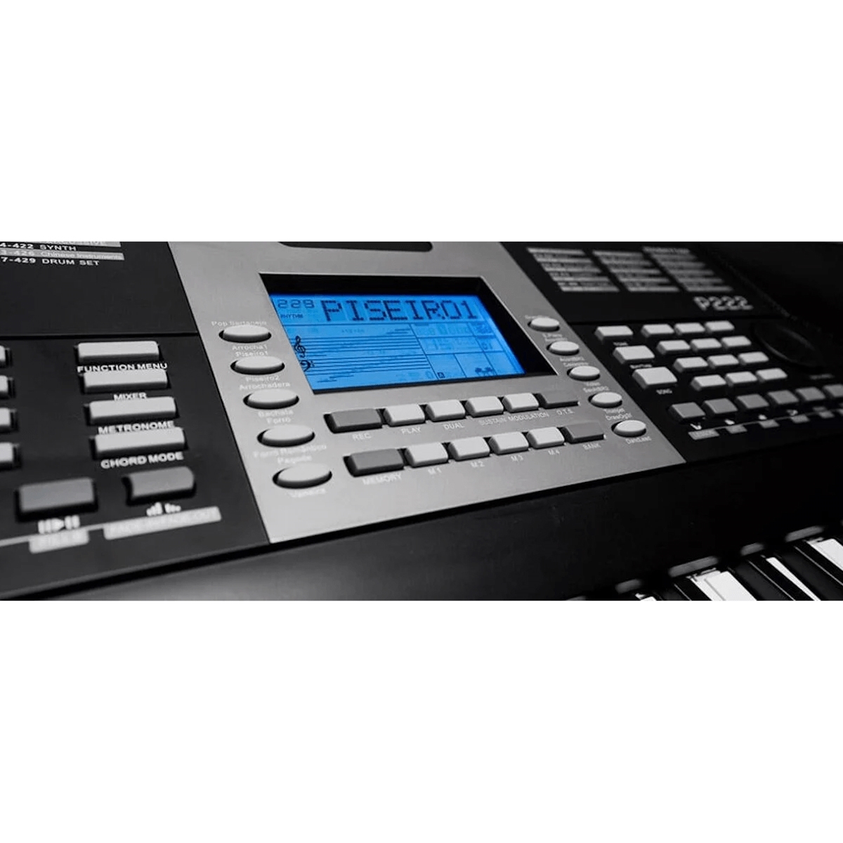 TECLADO PEGASUS P222 61 TECLAS COM RITMOS BRASILEIROS - TECLADO PEGASUS ...